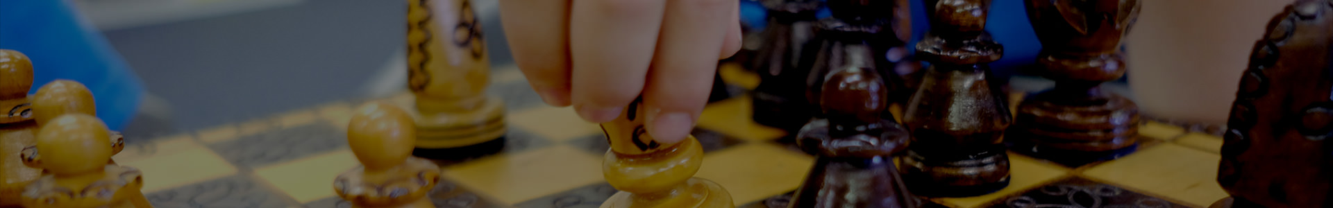 Curriculum - Dara School