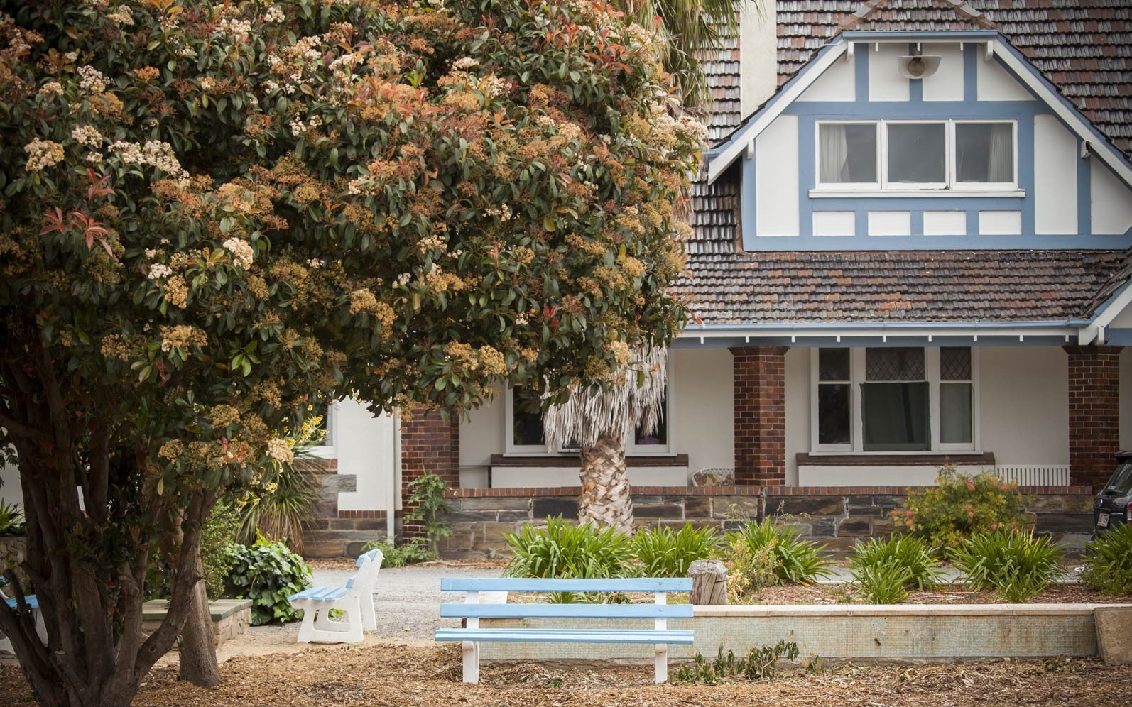 Principal’s Equity Scholarship - Dara School